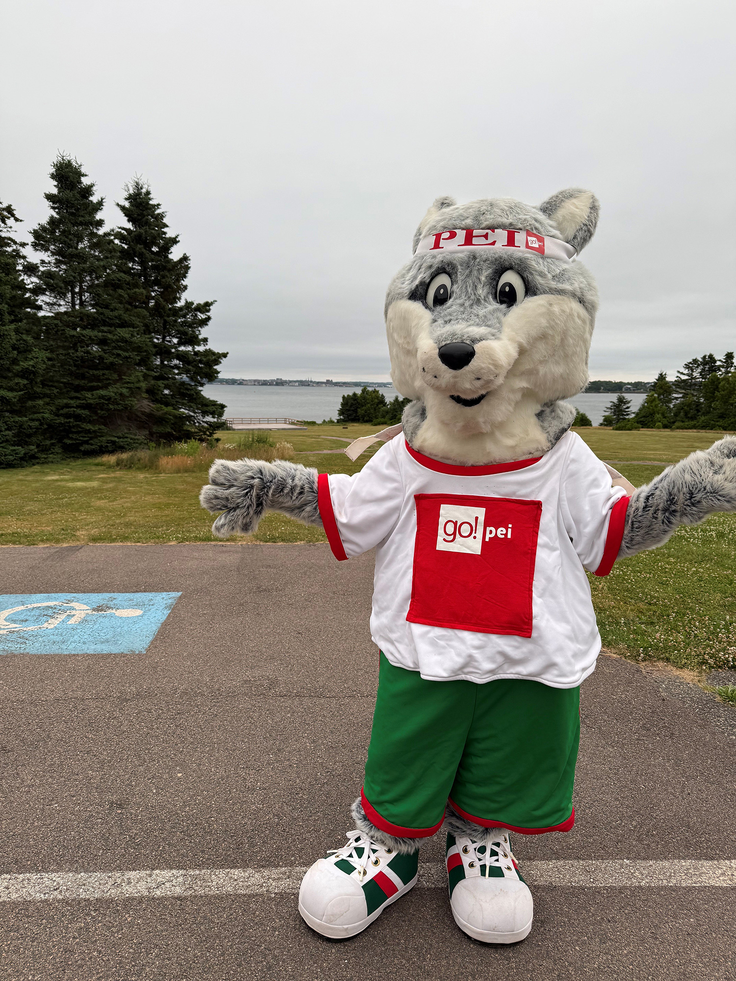 go!PEI – good for us all